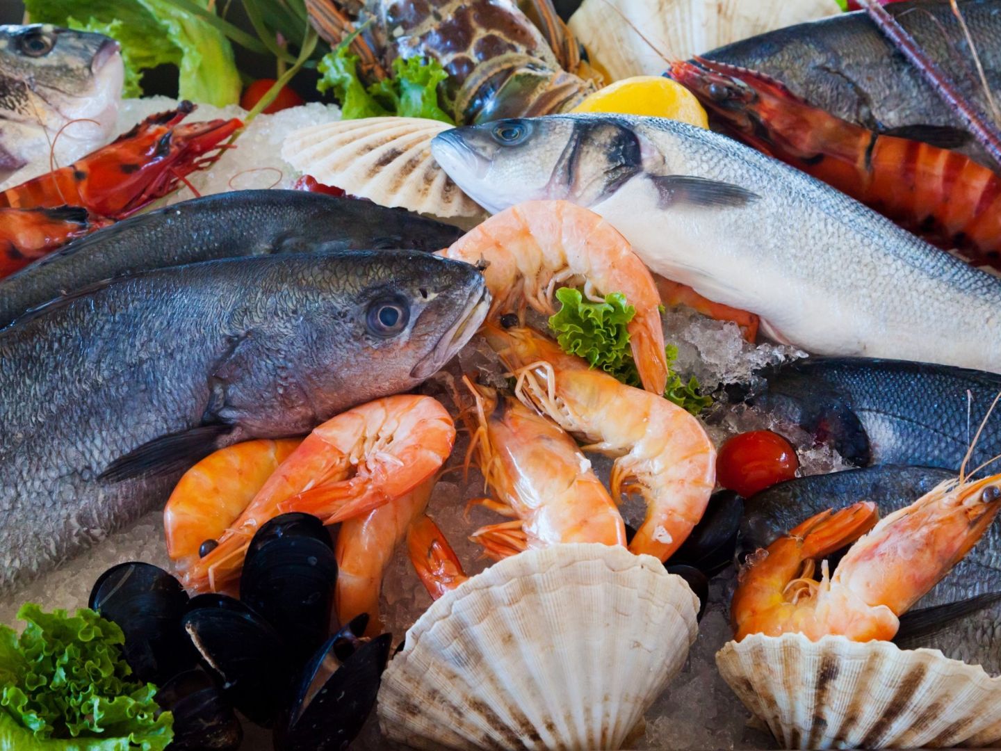 Frutos do Mar: O Guia Completo para Sabores do Oceano