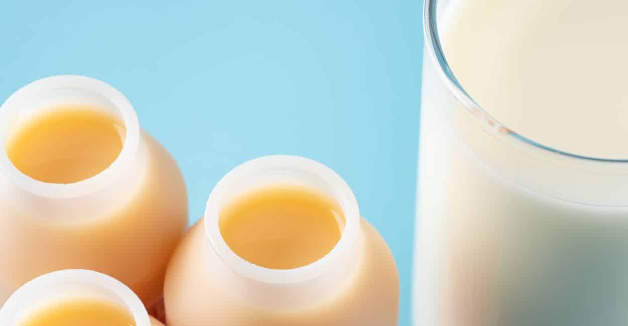 Fermentação Lática, o que é? | Dicionário Gastronômico